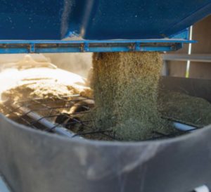 Seed Farm - Foster's Seed & Feed