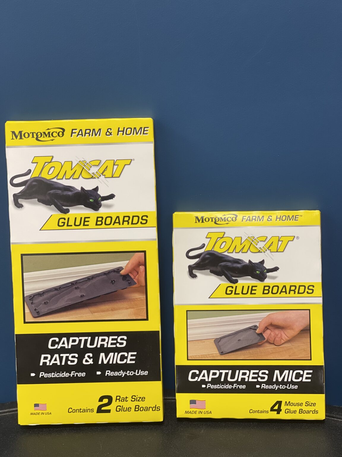 Tomcat Mouse and Rat Glue Board - Foster's Seed & Feed