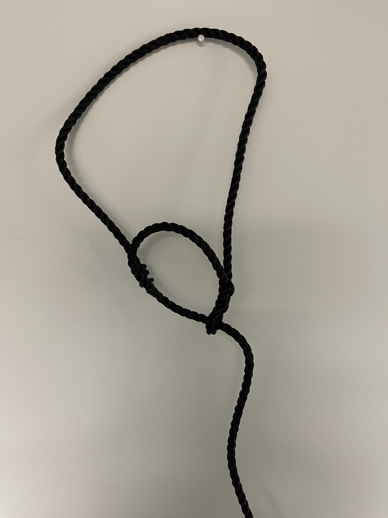 Adjustable Sheep Halter - Foster's Seed & Feed